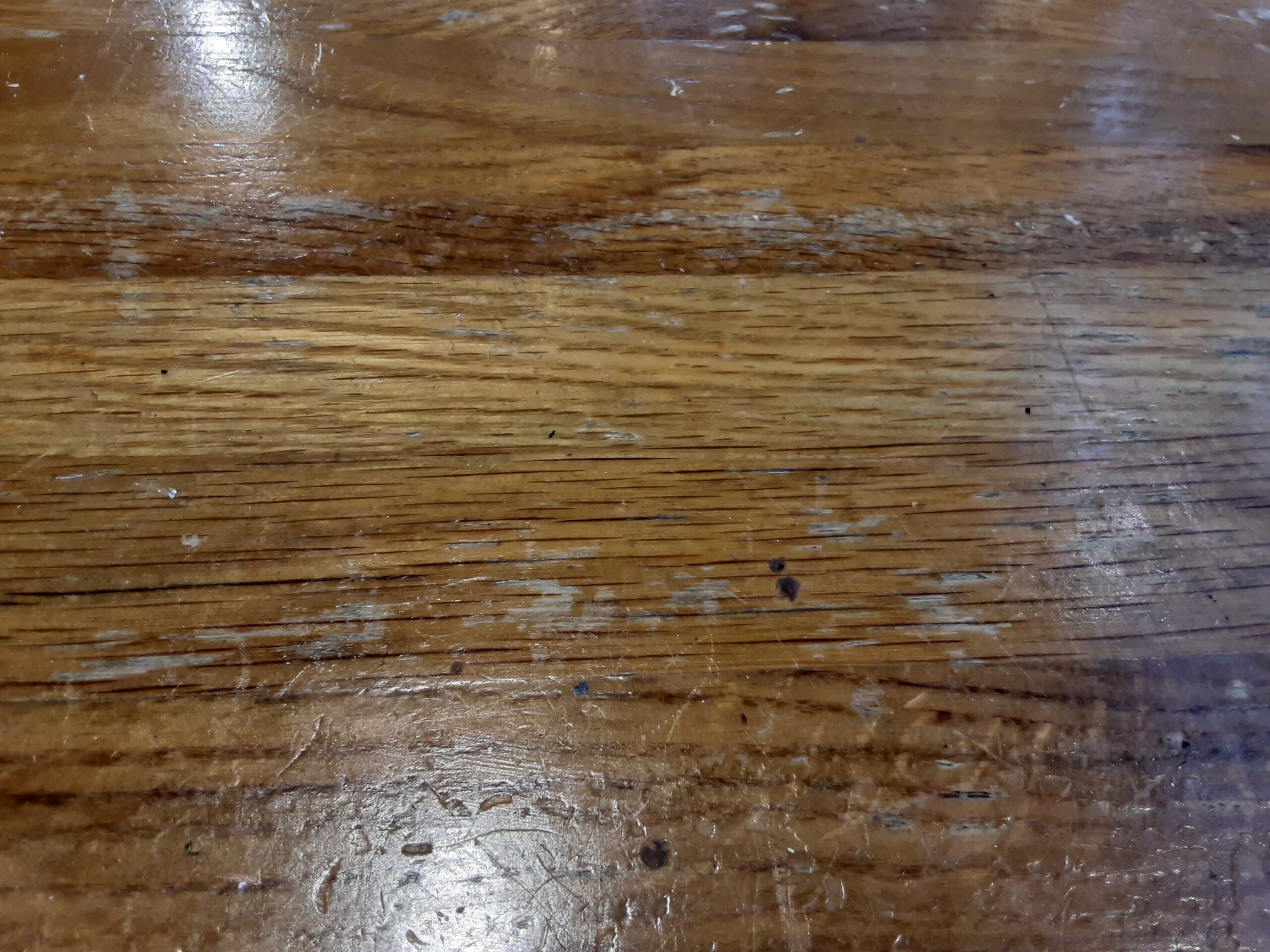 MILANBASIC.COM - milanbasic.com